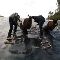 China 0.2mm-3mm Thickness GM13 Geomembrane LDPE HDPE for Fish Pond Liner in 1m-10m Width for sale