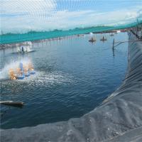 China Fish Farming HDPE Geomembrane Liner 1mm 0.5mm 1.5mm Black White Blue Green Customized for sale