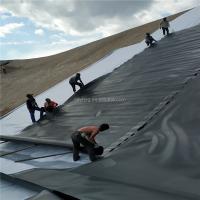 China Fish Farming HDPE Geomembrane Liner 1mm 0.5mm 1.5mm Black White Blue Green Customized for sale