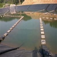 China 45 Mil HDPE Geomembrane for Aquaculture Contemporary Design Style and Reliability for sale