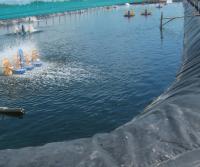 China 0.2-2mm HDPE Geomembrane Pond Liner for Aquaculture Durable and Resistant to UV Rays for sale