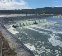 China Customized Outdoor PVC Geomembrane Fish Farming Tank Pond Tarpaulin Shrimp Pond Liner for sale