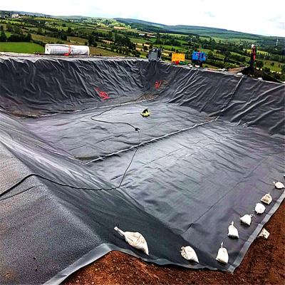 China Waterproof Geomembrane for Agriculture Fish Pond Shrimp Liner 1mm 2mm Industrial Design for sale