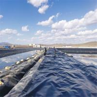 China 0.2mm 3mm HDPE Geomembrane for Agriculture Fish Pond Shrimp Liners Flexible Material for sale