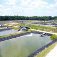 China 0.2mm 3mm HDPE Geomembrane for Agriculture Fish Pond Shrimp Liners Flexible Material for sale