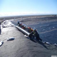 China 0.2mm-2mm HDPE Geomembrane Pond Liner for Shrimp and Dam Environmentally Friendly for sale