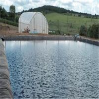 China 0.2mm-2mm HDPE Geomembrane Pond Liner for Shrimp and Dam Environmentally Friendly for sale