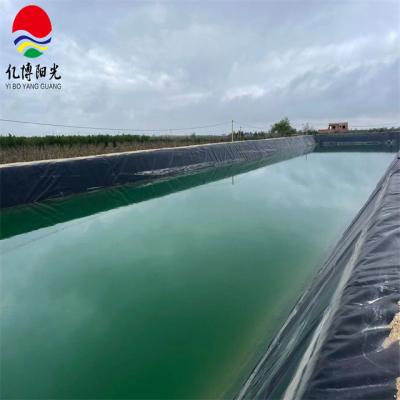 China Geomembranes in Industrial Design Style for Easy Installation Pond and Dam Liners for sale