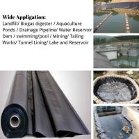 China 0.75mm 1mm HDPE Geomembrane for Landscaping and Fish Farming Impervious Pond Lining for sale
