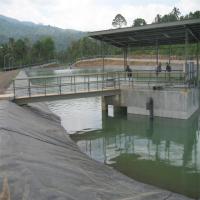 China 1mm 0.3mm HDPE LLDPE Geomembrane Pond Liner for Garden Pool Fish Farm Easy to Install for sale