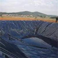 China 1mm 0.3mm HDPE LLDPE Geomembrane Pond Liner for Garden Pool Fish Farm Easy to Install for sale