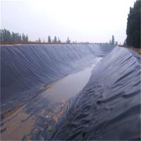 China 2m-8m Width HDPE Geomembrane Dam Liner Fish Farm Pond Plastic Liner Geomembranas for sale