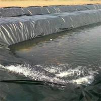China HDPE Geomembrane for Agriculture Pond Liners Sale 0.2mm-3mm Thickness Smooth Surface for sale