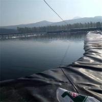 China Waterproof HDPE Geomembrane Dam Liner Pond Liners Membrane 0.5mm to 2mm for Earthwork for sale
