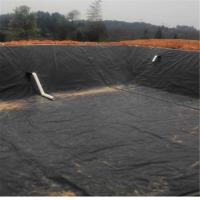China Pool Line HDPE LDPE Waterproof Geomembrane for Fish Farm Pond Liner in Waterproof for sale