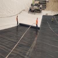 China 1mm Geomembrane Fish Shrimp Pond Liner HDPE Liner for Landfill Liner and Swimming Pool for sale