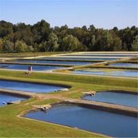China Outdoor HDPE Geomembrane Plastic Pond Liner for UV Protection and Puncture Resistance for sale