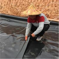 China Long-Lasting HDPE Geomembrane 0.75mm 1mm 2mm for Landfill Liner and Swimming Pool Liner for sale