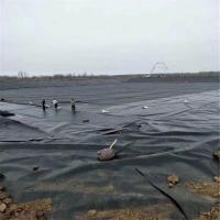 China Swimming Pool Liner HDPE Geomembrane for Pond Lining and Waterproof Dam Liner for sale