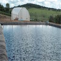 China 1m-8m Width HDPE Geomembrane for Oily Wastewater and Mine Soil Remediation Management for sale