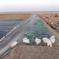 China 0.5mm Geomembrane HDPE Dam Liner for Contemporary Fish Farm and Shrimp Pond Design for sale