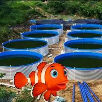 China Aquaclture Design Style Indoor Tilapia Fish Farming Tanks HDPE Geomembrane Width 1m-8m for sale