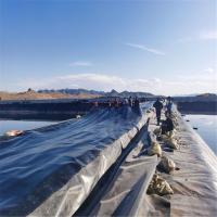 China Blue Black HDPE Geomembrane Pond Liner for Fish Pond Aquascape Rain Water Storage Tank for sale