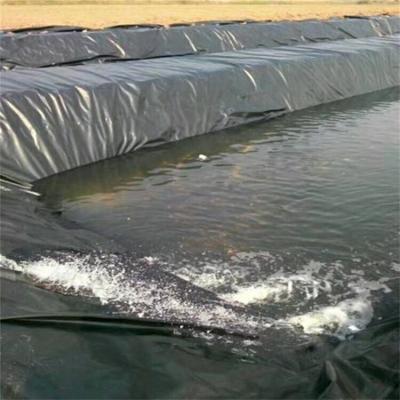 China 500 micron HDPE Geomembrane Shrimp Pond Liner for Durable Shrimp Farming in Indonesia for sale