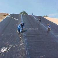 China Industrial Design Style Geomembrane for Tailing Treatment in Heavy-Duty Operations for sale