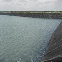 China Fish Shrimp Farm Pond Geomembrane 0.5mm-2.0mm with Easy Installation and Maintenance for sale