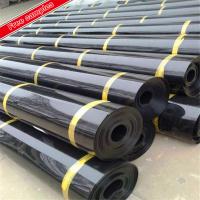 China Industrial Fish Shrimp Farm Pond Geomembrane Liner 0.5mm/0.75mm for Design Efficiency for sale