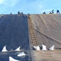 China Professional HDPE Geomembranes for Landfill and Fish Farming Applications for sale