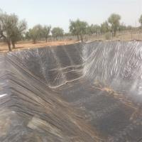 China Professional HDPE Geomembranes for Landfill and Fish Farming Applications for sale