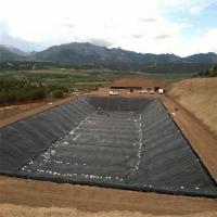 China 0.2mm-1.5mm HDPE Geomembrane for Fish Pond Shrimp Liners Anti-Oxidation and Longevity for sale