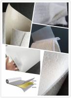 China Industrial Design Style Geomembranes for Landfill Environmental Protection for sale