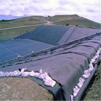 China 0.5mm HDPE Geomembranes The Perfect Solution for Waterproofing Fish Shrimp Pond Liner for sale