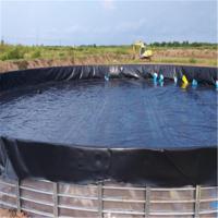 China Green HDPE Liner Geomembranes for 0.3mm 0.5mm Plastic Fish Shrimp Pond Liner for sale