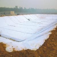 China Water Channel Geomembranes for Water Management from Landfill Composite Gemembrane for sale