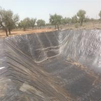 China 300 micron 500 micron 750 micron HDPE Geomembrane Fish Pond Liner Reservoir Liner with 1 for sale