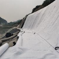 China Made 1.0mm 1.5mm 2.0mm HDPE Geomembrane Liners for Long Service Life in Landfill for sale