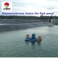 China Long Service Life Waterproof HDPE Geomembrane Liners for Outdoor Waterproofing Systems for sale