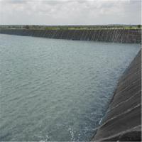 China Plastic Polyethylene 500 Micron 750 Micron HDPE Geomembrane Pond Liner Reservoir Liner for sale