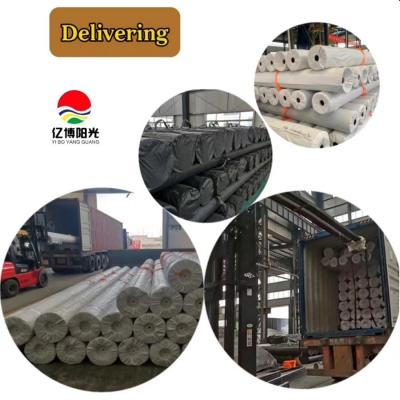 China 500 micron 750 micron HDPE Geomembrane Pond Liner for Industrial Water Containment for sale
