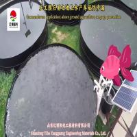 China Waterproof HDPE Geomembrane Liners for Fish Ponds and Aquaculture 0.2-2.0mm Thickness for sale