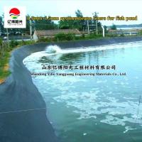 China 100% Virgin HDPE 0.2-2.0mm Geomembrane for Fish Pond Liners and Aquaculture Farming for sale