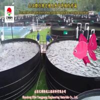 China Polyethylene Geomembrane Liners for Fish Pond and Culture Tank in Black Blue or Green for sale
