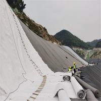 China 1.0-2.0mm HDPE Geomembrane Liners for Aquaculture Fish Pond in High Demand for sale