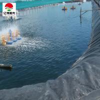 China Waterproof HDPE Geomembrane Liners for Aquaculture Fish Shrimp Pond Thickness 0.2-2.0mm for sale