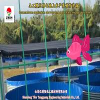 China 300micron-1500micron LDPE Geomembrane Fishpond Liners for Long-Lasting Pond Protection for sale