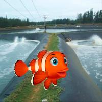 China Customizable Geomembranes for Aquaculture Pond Swimming Pool Reservoir and Dam Liners for sale